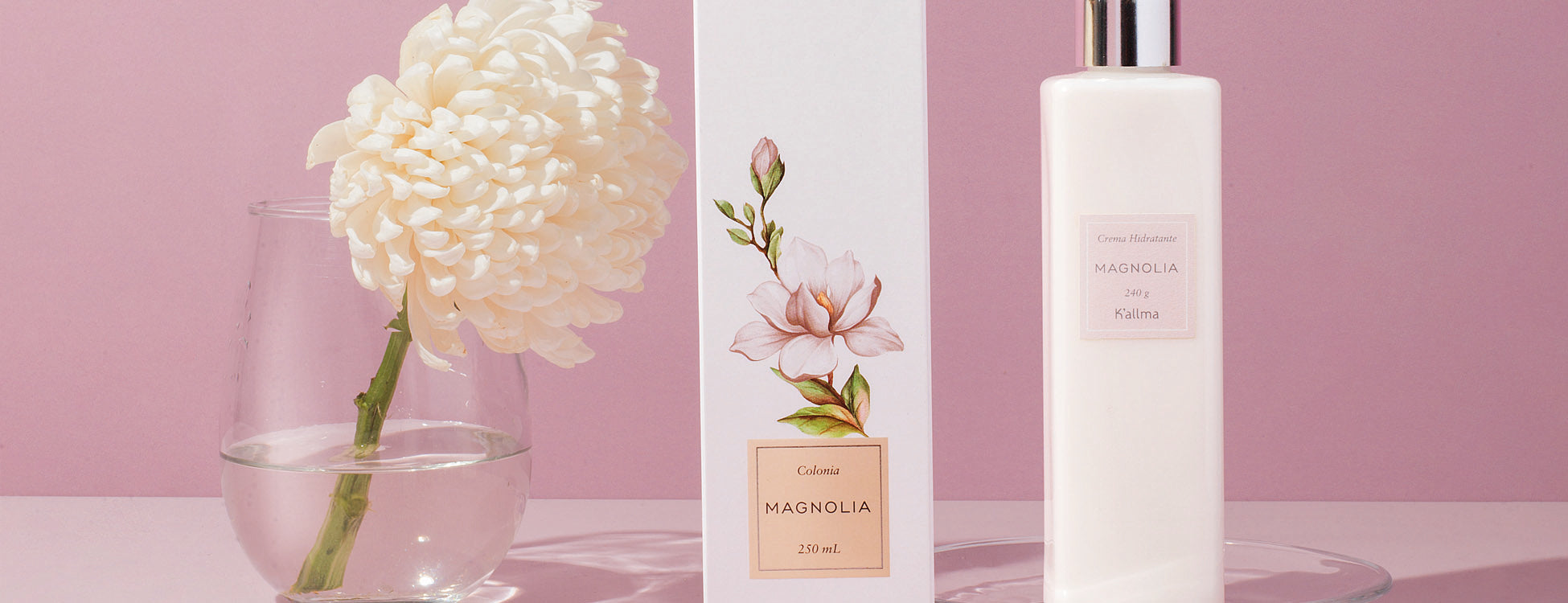 Magnolia – Kallma